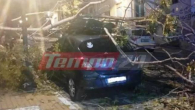 Πάτρα: Δέντρο καταπλάκωσε γυναίκα που περίμενε το παιδί της