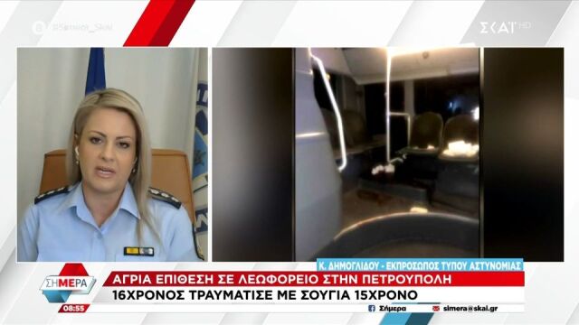 Δημογλίδου για συμπλοκή ανηλίκων στην Πετρούπολη: Με ποινικό παρελθόν ...
