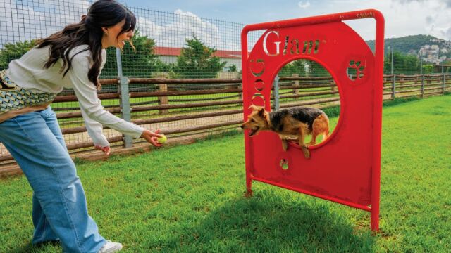 Αναστασία Ραφαέλα Κανέλλου: Το DogGlam δεν είναι ένα απλό ξενοδοχείο ...