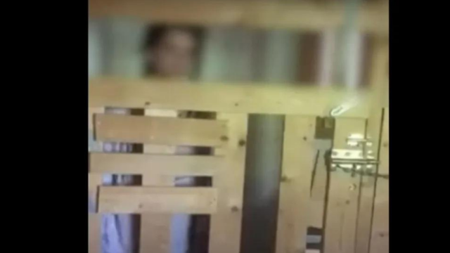 Καλαμάτα: Ελεύθεροι οι θετοί γονείς της 29χρονης που ζούσε για 7 χρόνια ...